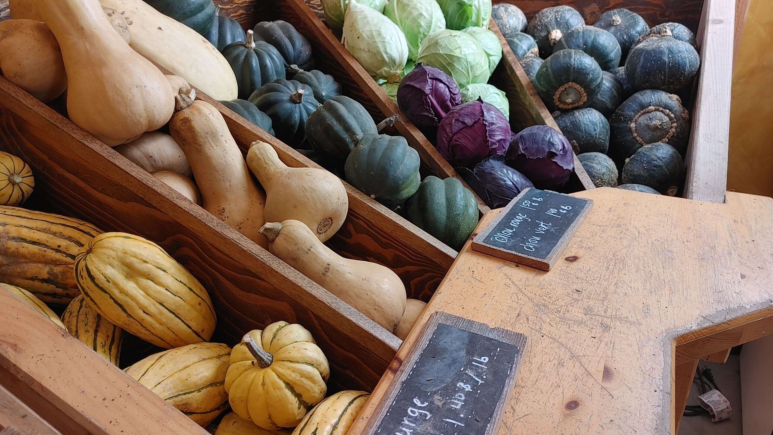 Paniers biologiques | Potager d'Émylou